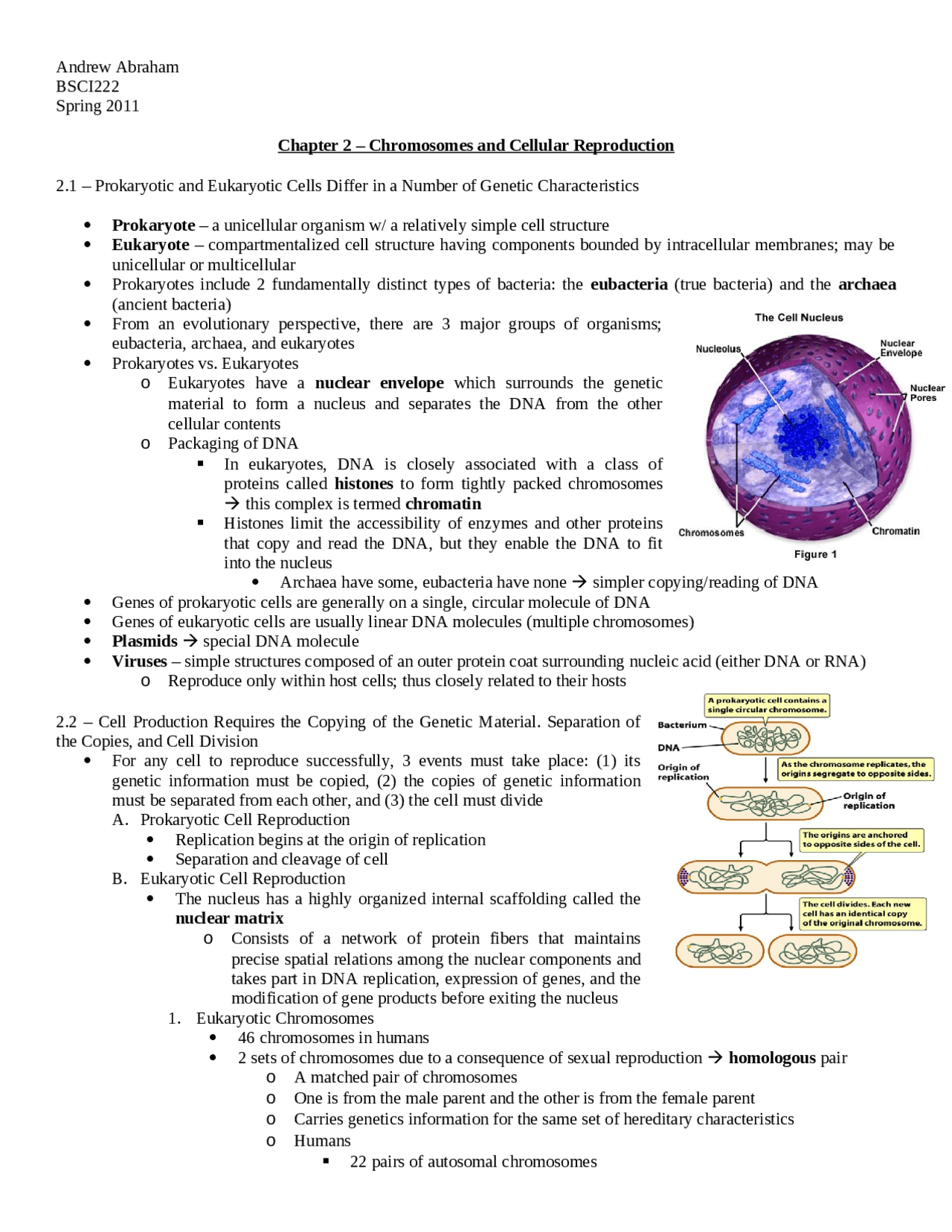 Chromosomes and Cellular Reproduction - Lecture Notes | BSCI 222 - Docsity