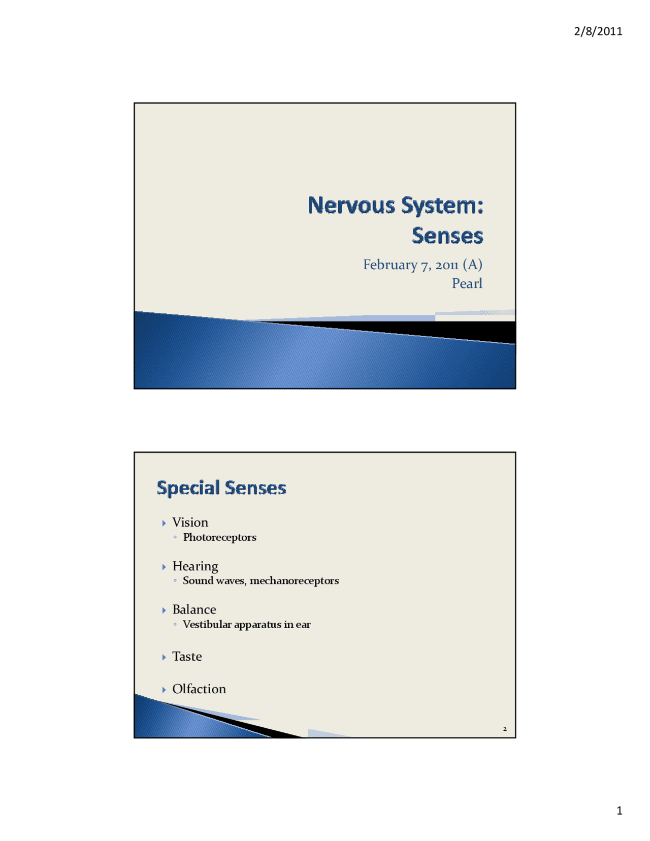 Nervous System Senses Lecture Slides Bios 3500 Docsity
