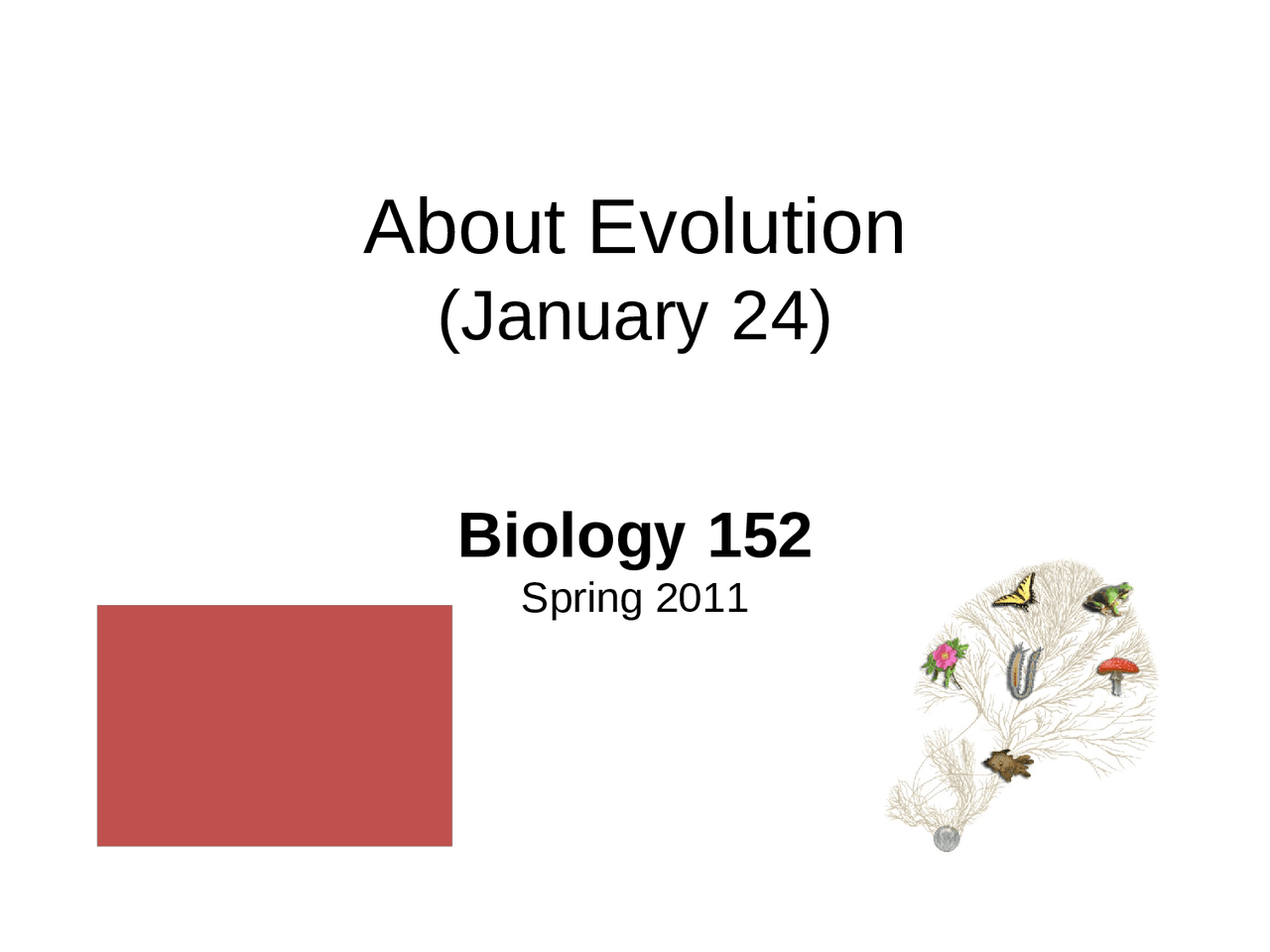 About Evolution - Principles of Organismal Biology | BIOL 152 - Docsity