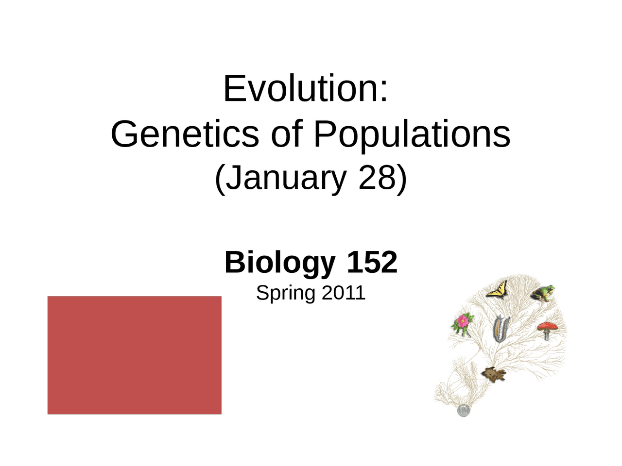 Evolution: Genetics of Populations - Principles of Organismal Biology ...
