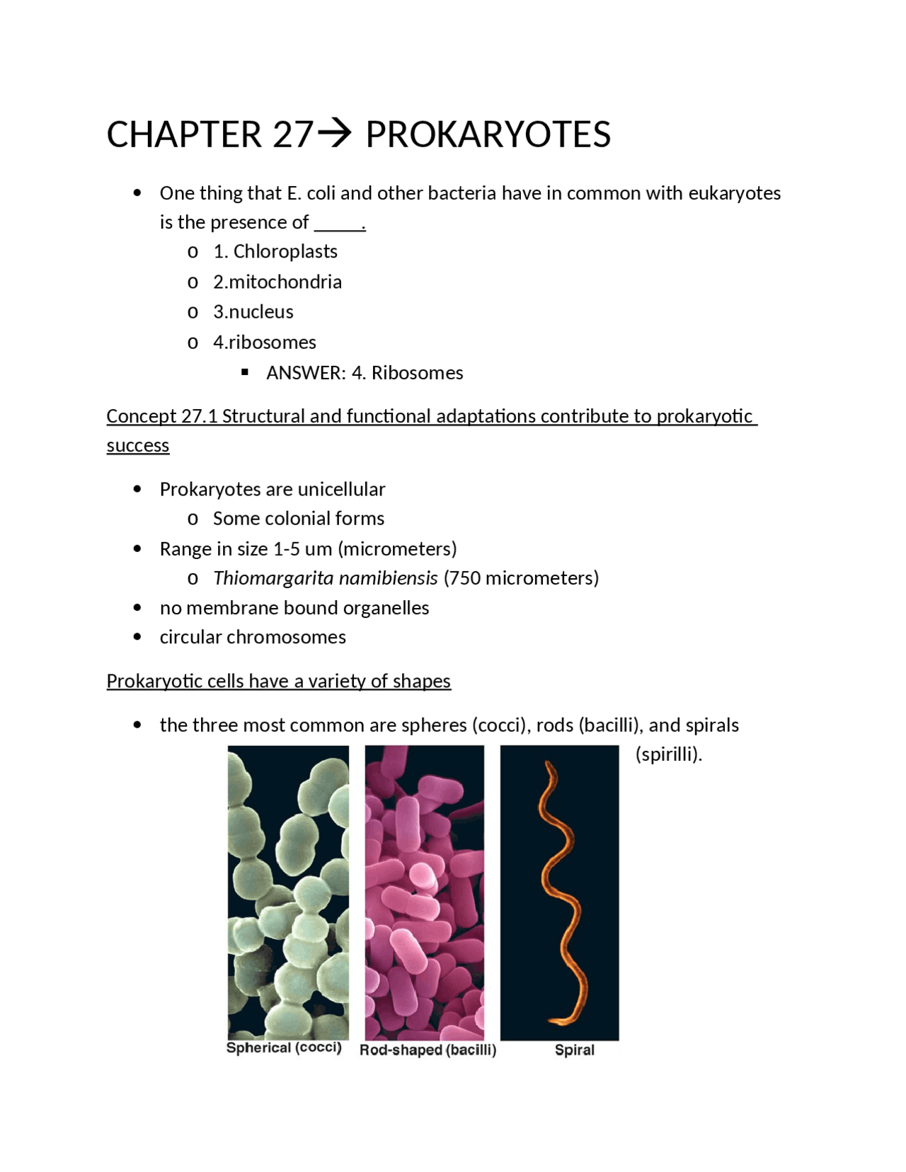 Prokaryotes Cell Surface Structures Lecture Notes Biol 1202 Docsity