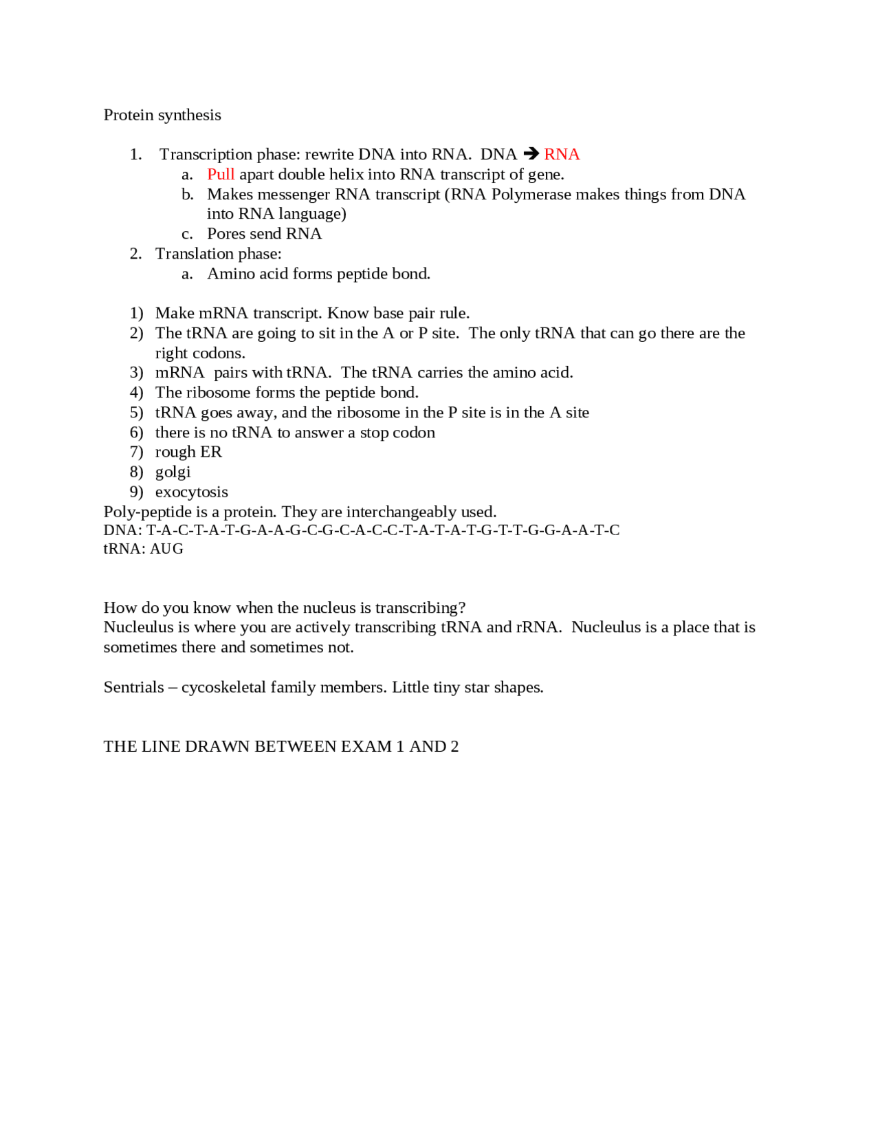 Protein Synthesis Anatomy And Physiology I Lecture Notes Anat 101