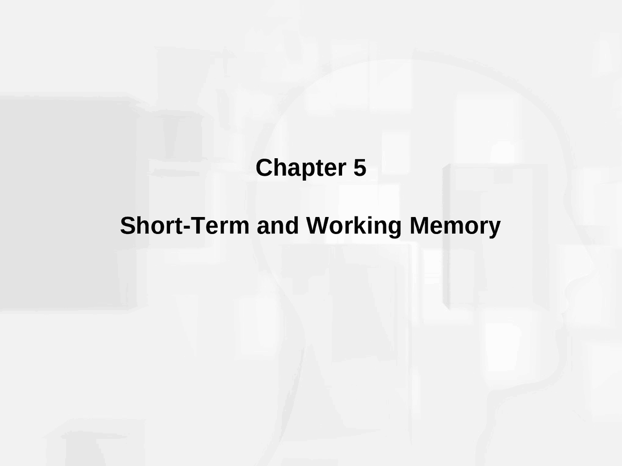 Lecture Slides For Short Term And Working Memory Psyc 317 Docsity