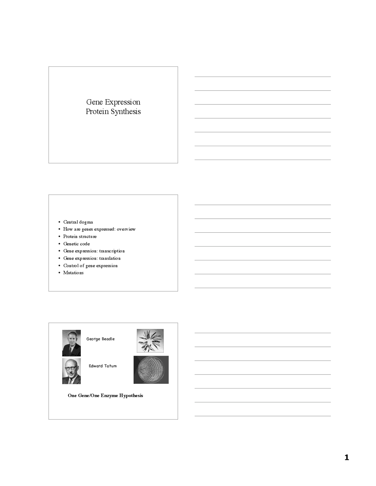 Gene Expression Lecture Slides Aands 100 Docsity