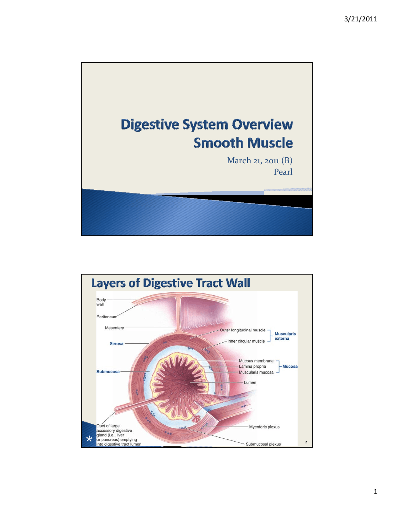 Digestive System - Smooth Muscle - Human Physiology-Major | BIOS 3500 ...