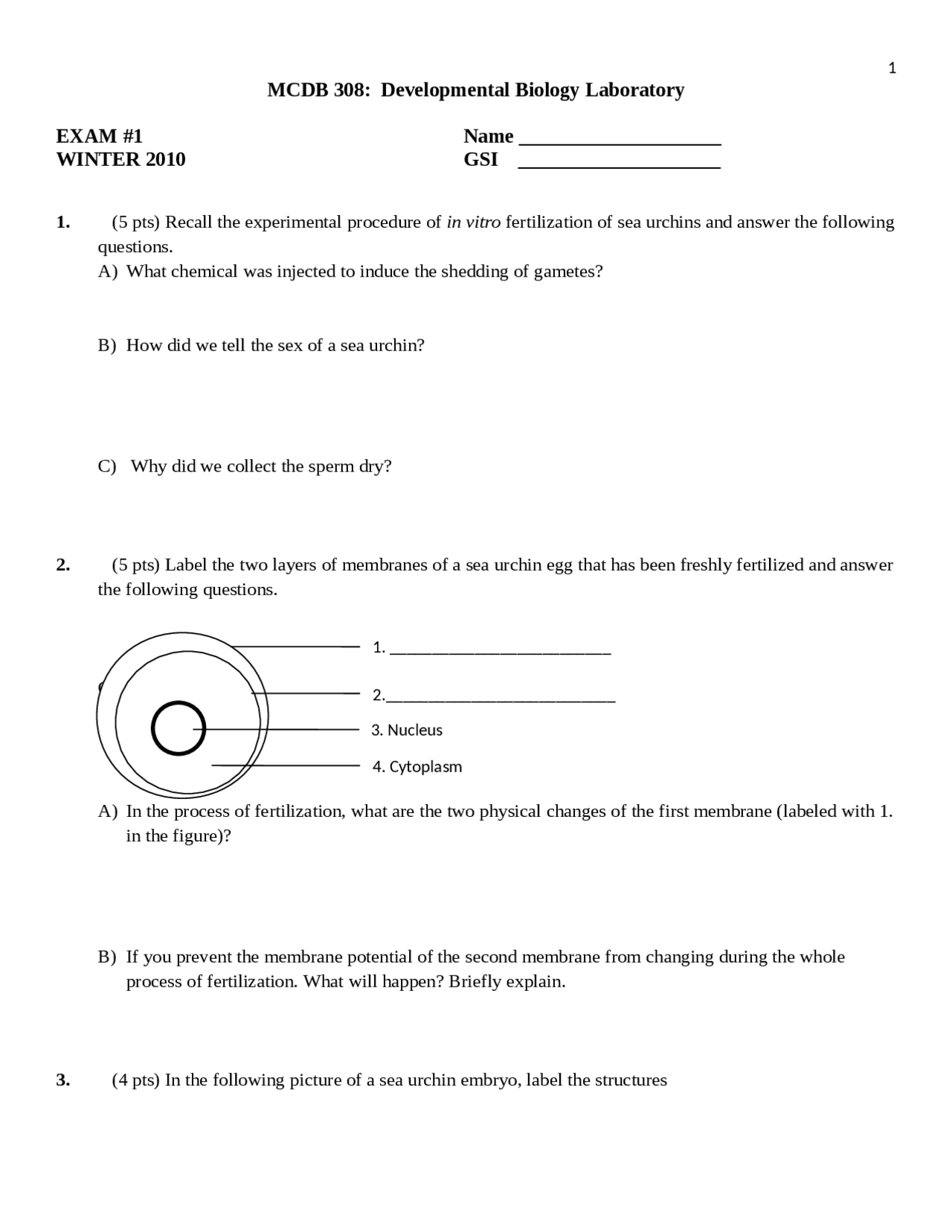 Exam 1 With 16 Questions Development Biology Laboratory Mcdb 308