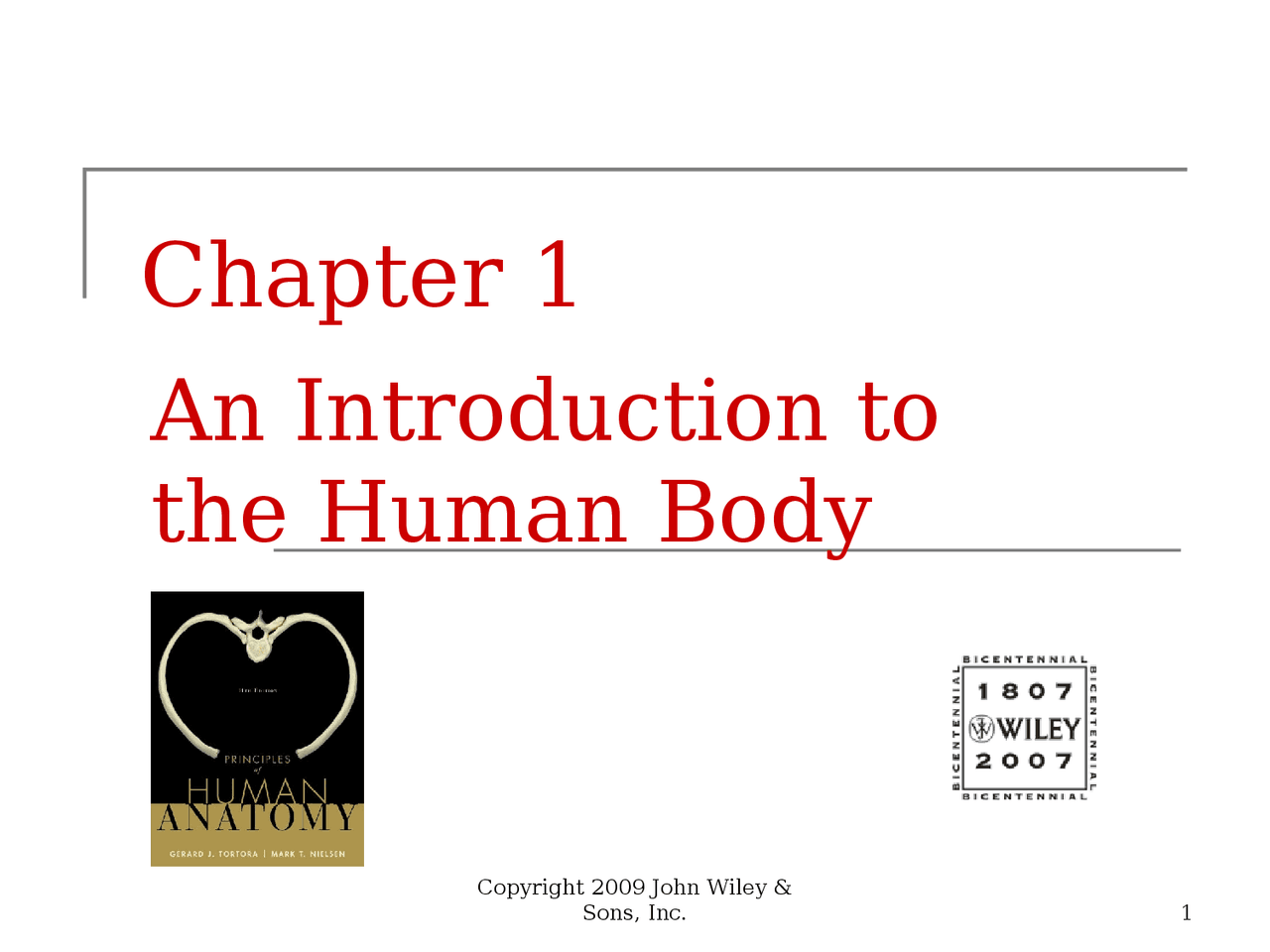 Slides On The Introduction To Human Body Kin 2500 Docsity