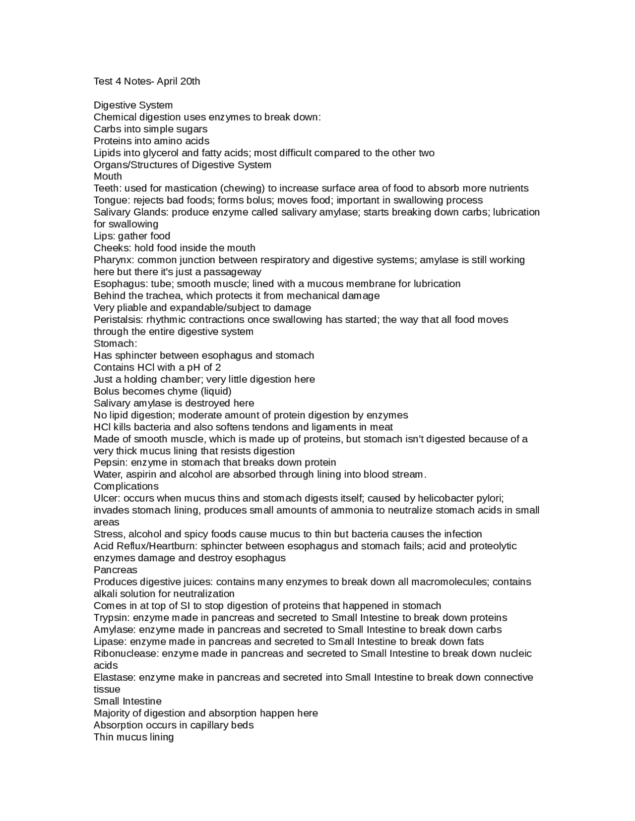 Digestive System Review Sheet For Test 4 BIO 1004 Docsity digestive-system-review-sheet-for-test-4-bio-1004-docsity