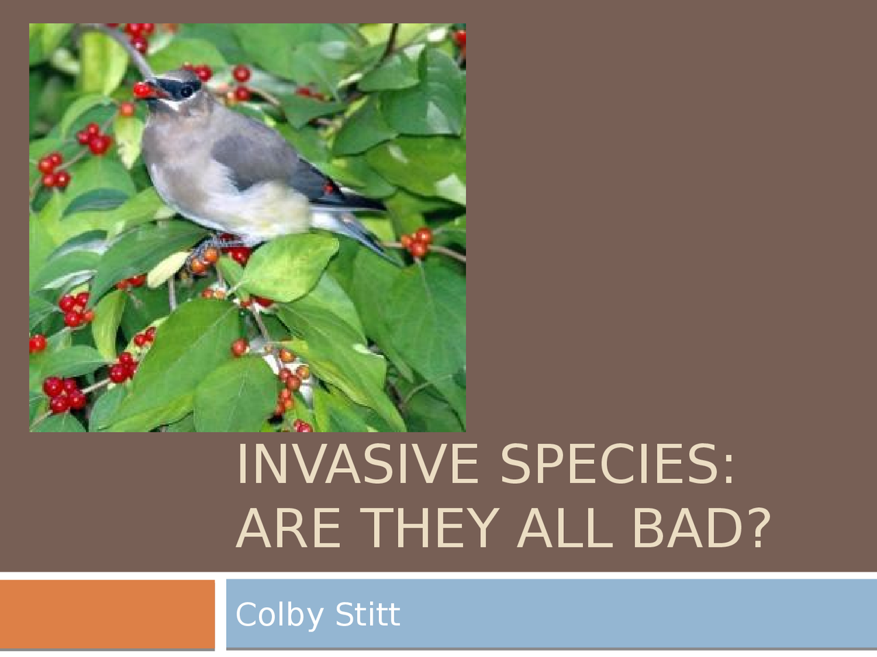 Invasive Species - Conservation Biology - Lecture Slides | BIOL 4015 ...