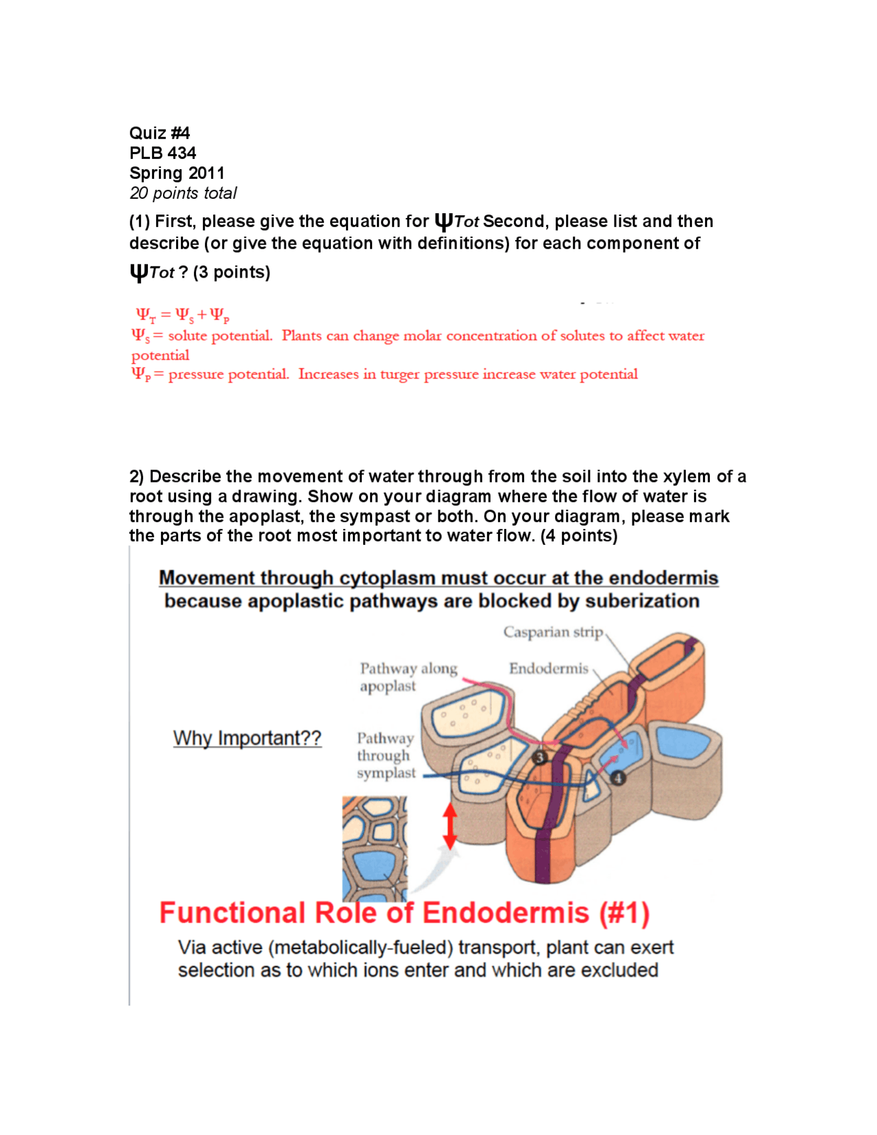 27 Problems On Plant Structure And Function Examination 1 Plb 434