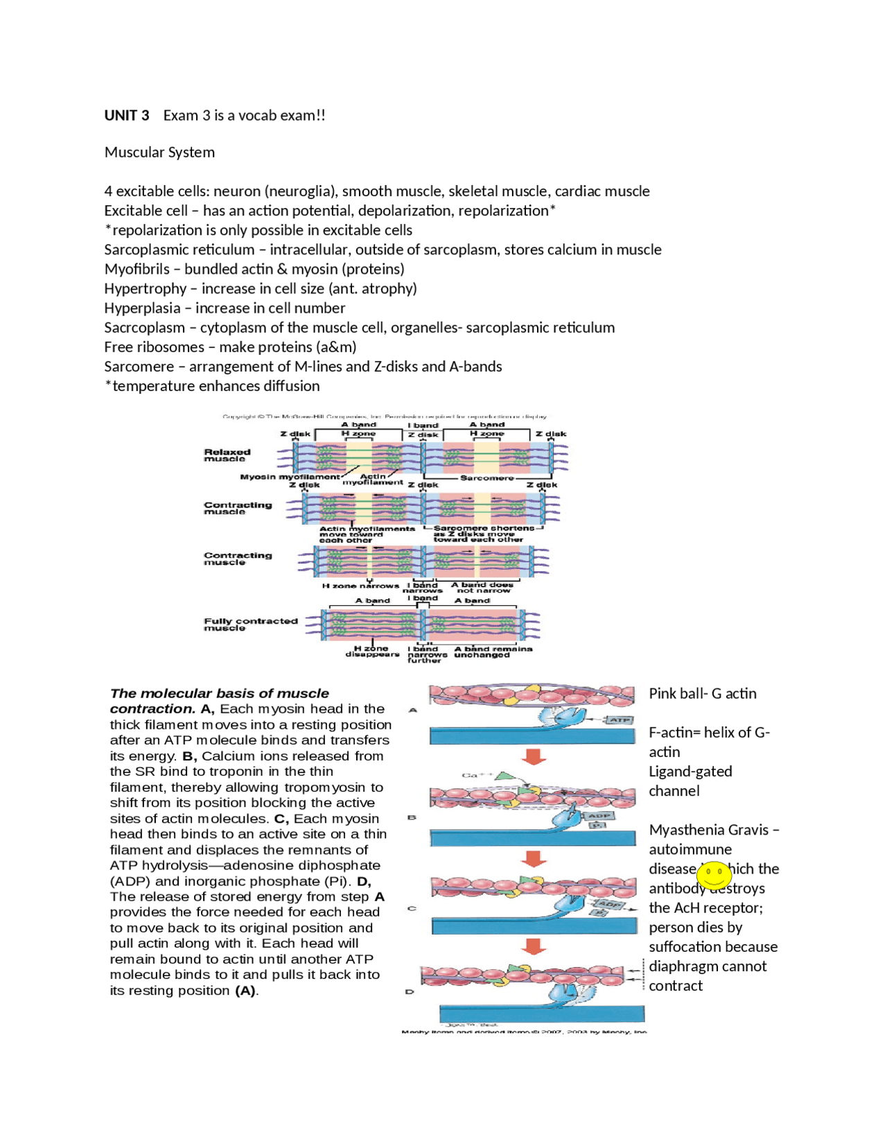 Human Anatomy and Psychology II lab - Lecture Notes | BIOL 251 - Docsity