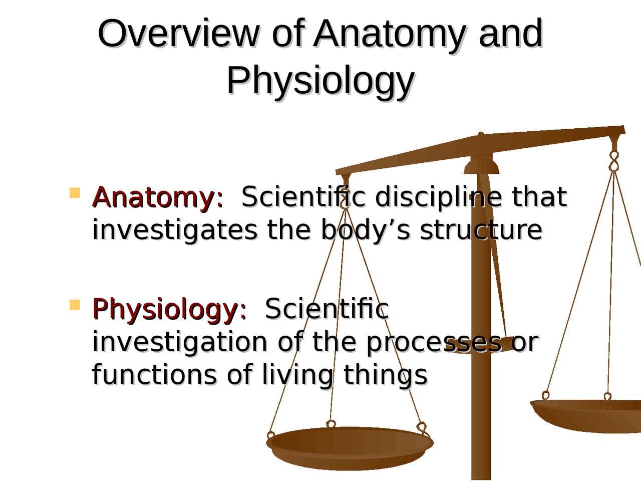 Structural And Functional Organizations Of Human Body Lecture Slides