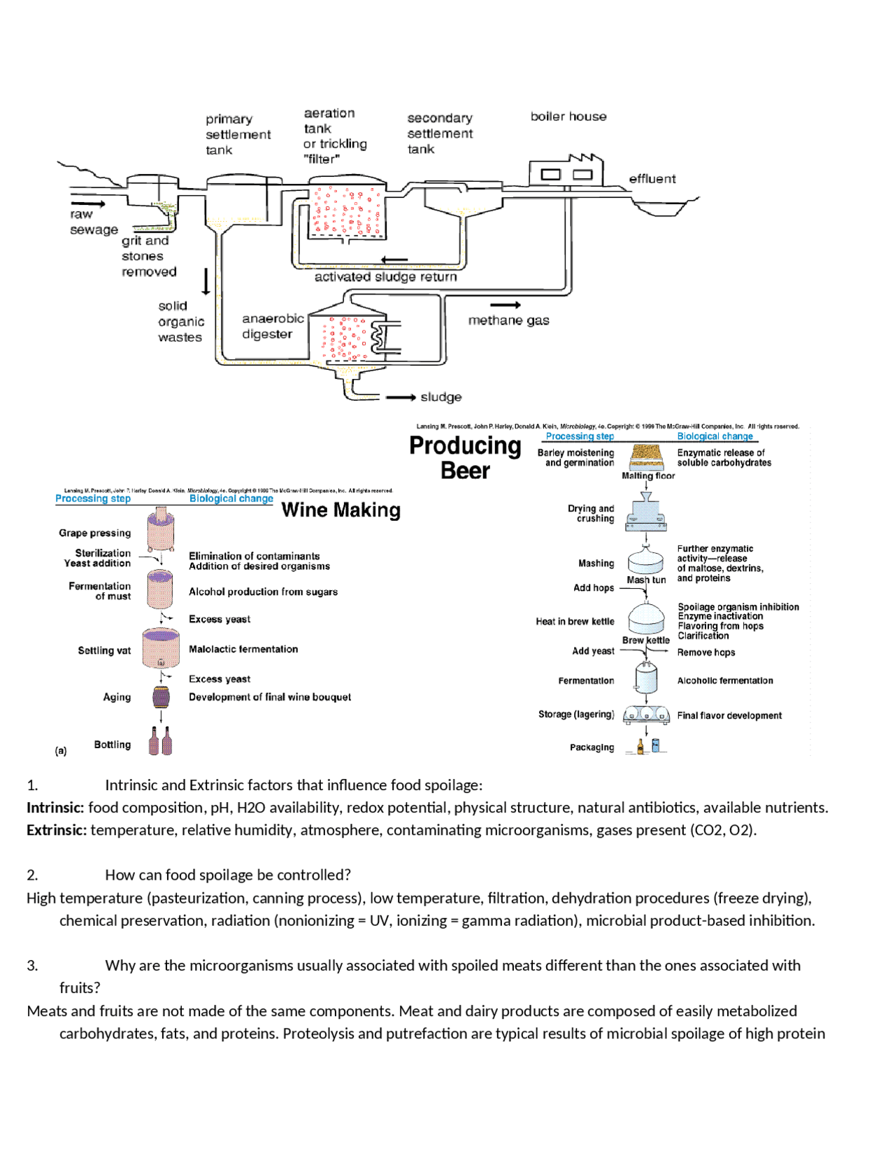 Microbiology Final Exam Review Bio 2010 Docsity