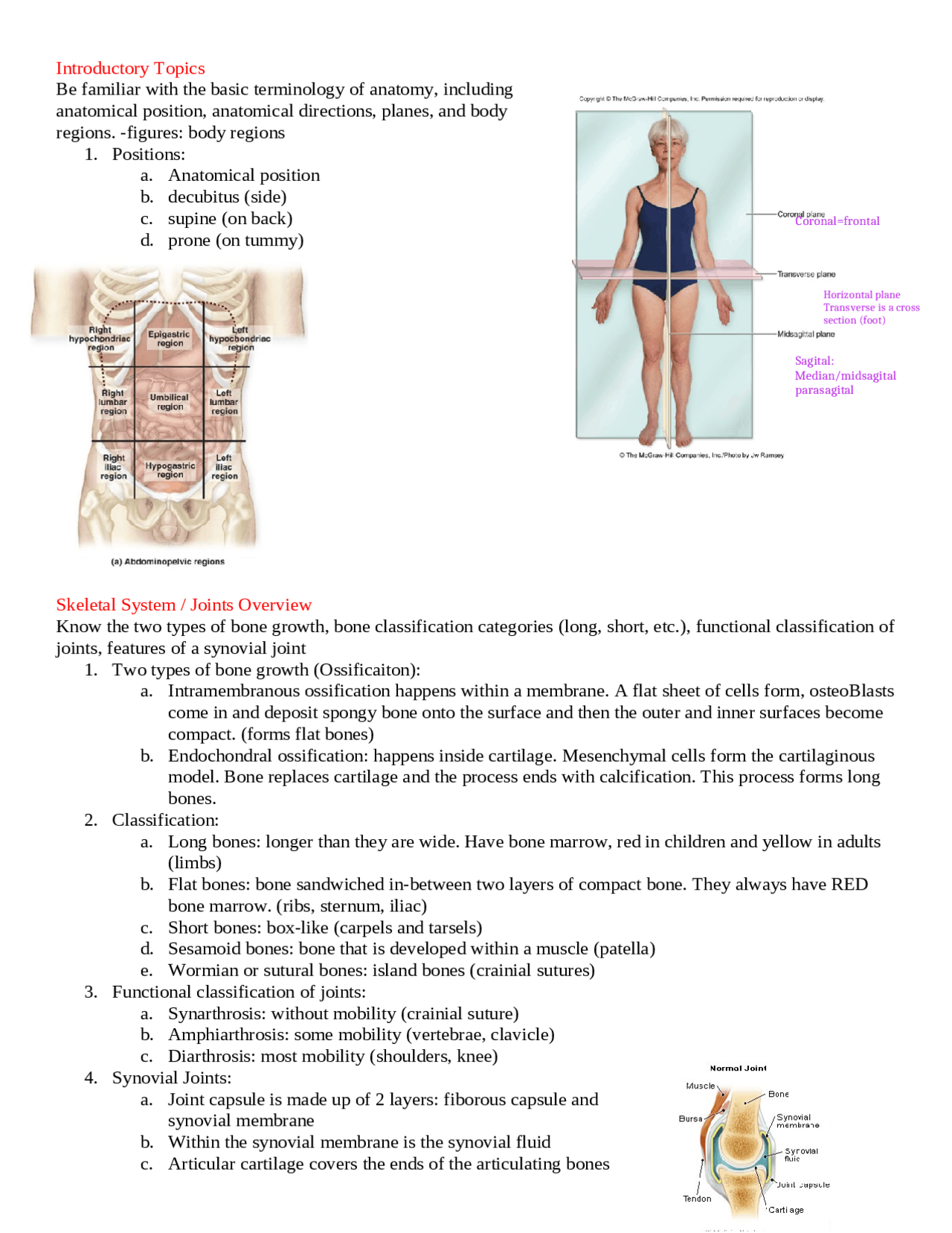 Final Exam Study Guide - Human Gross Anatomy | ANTR 350 - Docsity