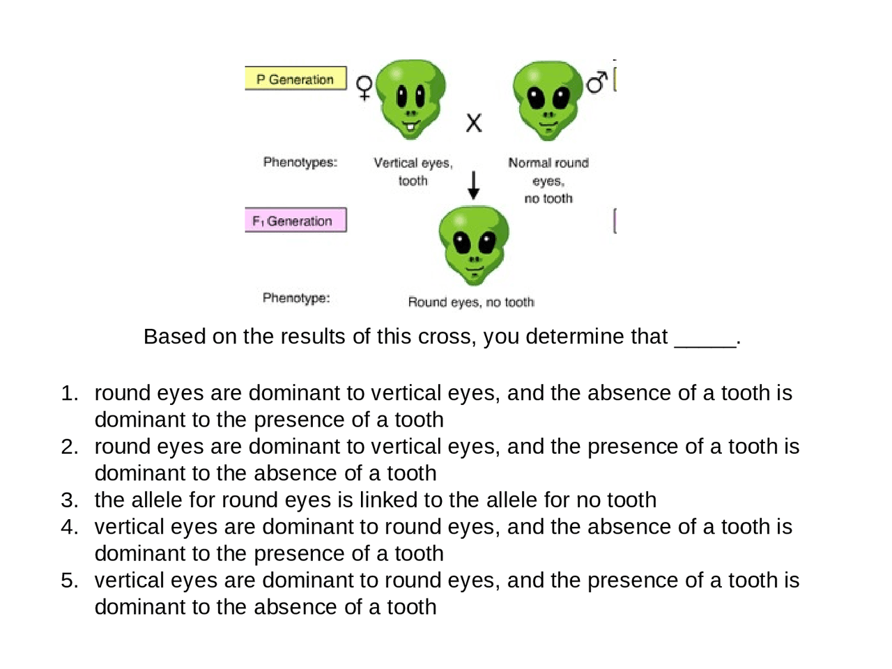 Questions Of Principles Of Biology Bys 119 Docsity