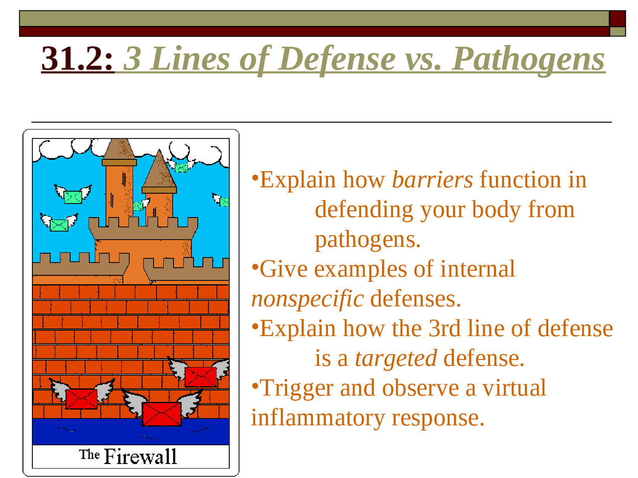 Immunity Defense Vs Pathogens Lecture Slides Biol 1202 Docsity