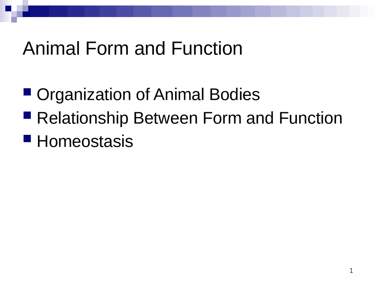 Animal Form and Function - Physiology and Ecology | BIO 126 - Docsity