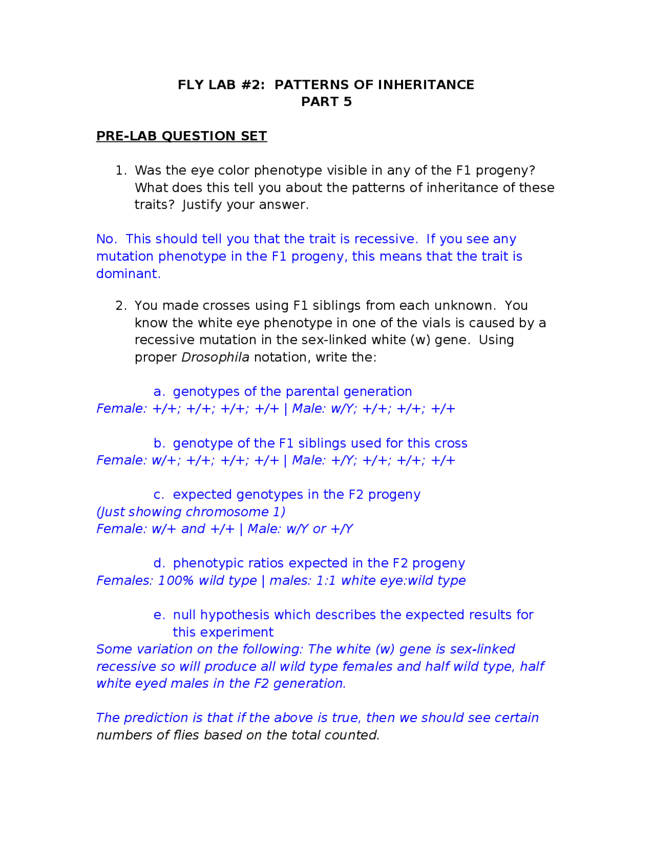 Patterns Of Inheritance Fly Lab Homework Bio 325l Docsity