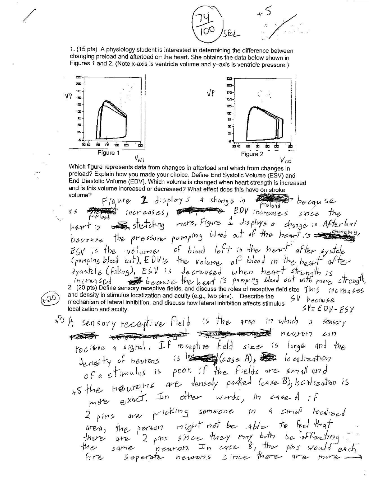 Exam 1 With Solution Key For Human Physiology Systems Biol 4290 Docsity