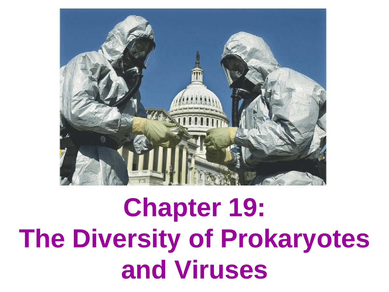 The Diversity Of Prokaryotes And Viruses Lecture Slides Biol 1002