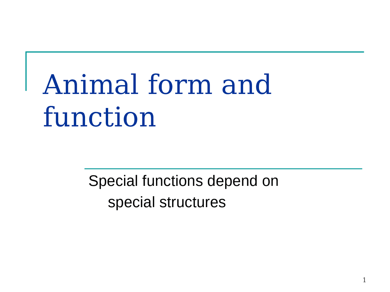 Animal Form and Functions - Lecture Slides | BIO 126 - Docsity