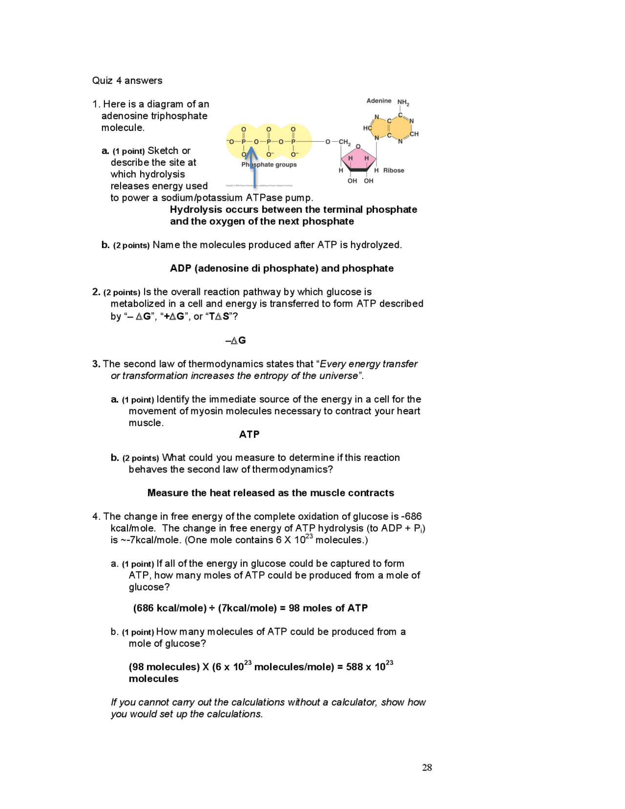 Solved Quiz 4 - Principle Molecular and Cellular Biology | BIOL 150 ...