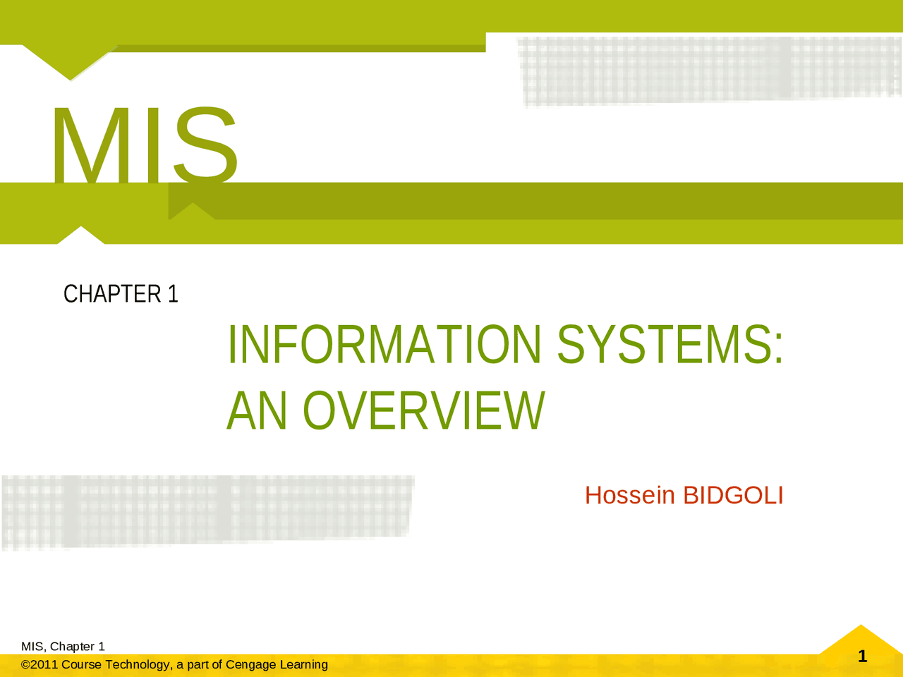 Information Systems An Overview Lecture Slides Infs 3100 Docsity