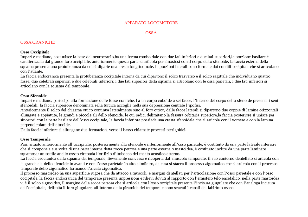 Appunti Anatomia Docsity