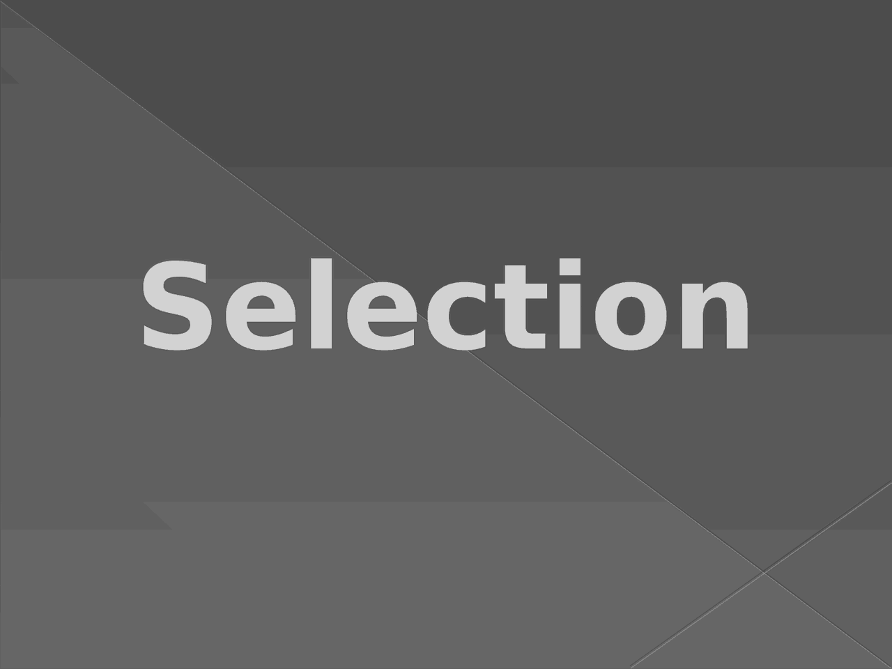 Human Resources Management Selection Docsity