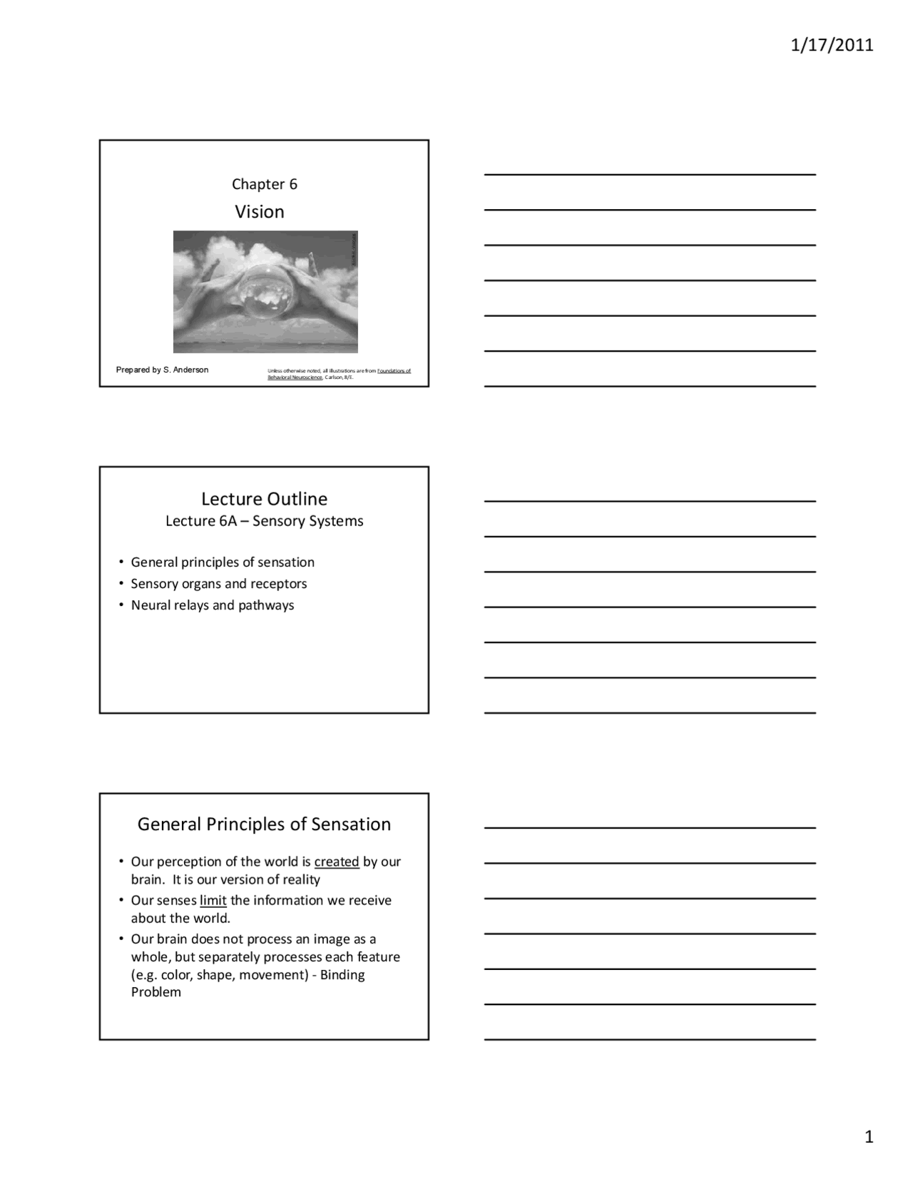 General Principles Of Sensation And Vision Psy 310 Docsity