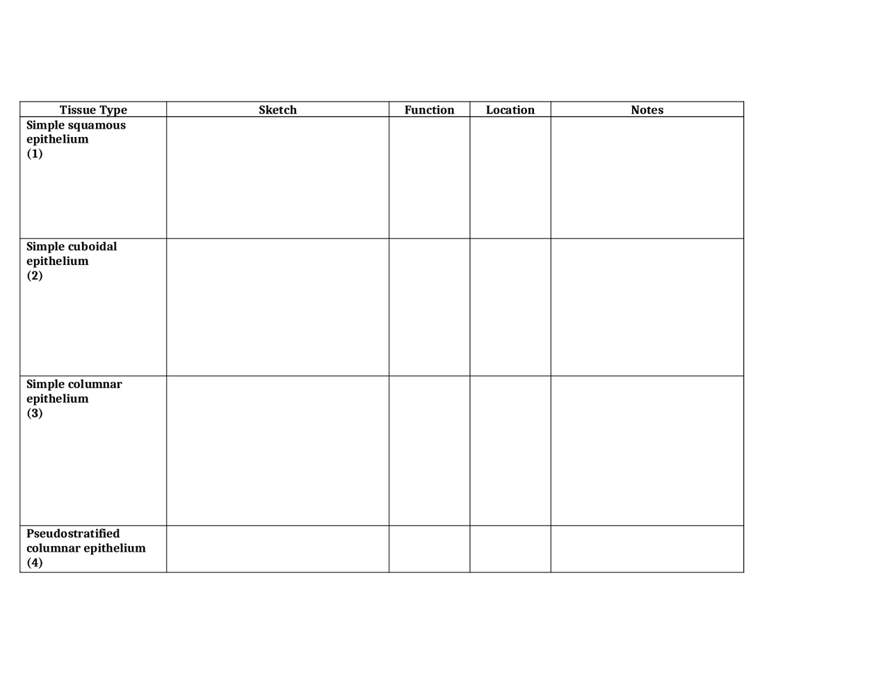 Human Anatomy And Physiology Tissue Chart Bsci 201 Docsity