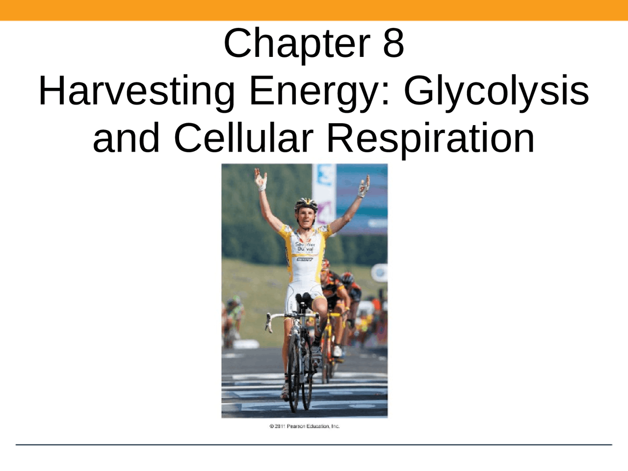 Glycolysis And Cellular Respiration Lecture Slides Biol 1001 Docsity