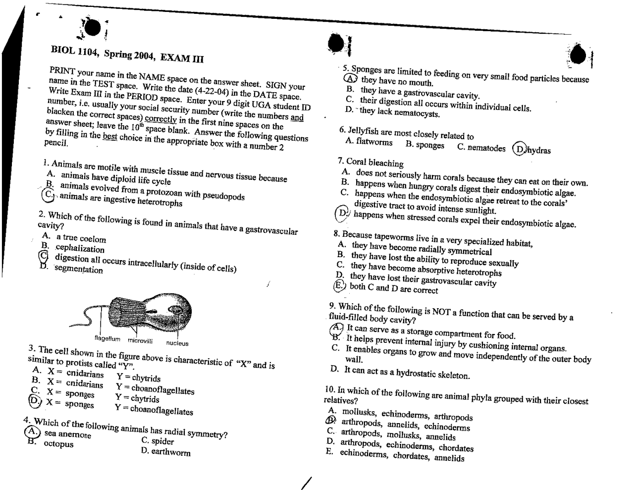 Exam Iii Solution Spring 2004 Organismal Biology Biol 1104 Docsity