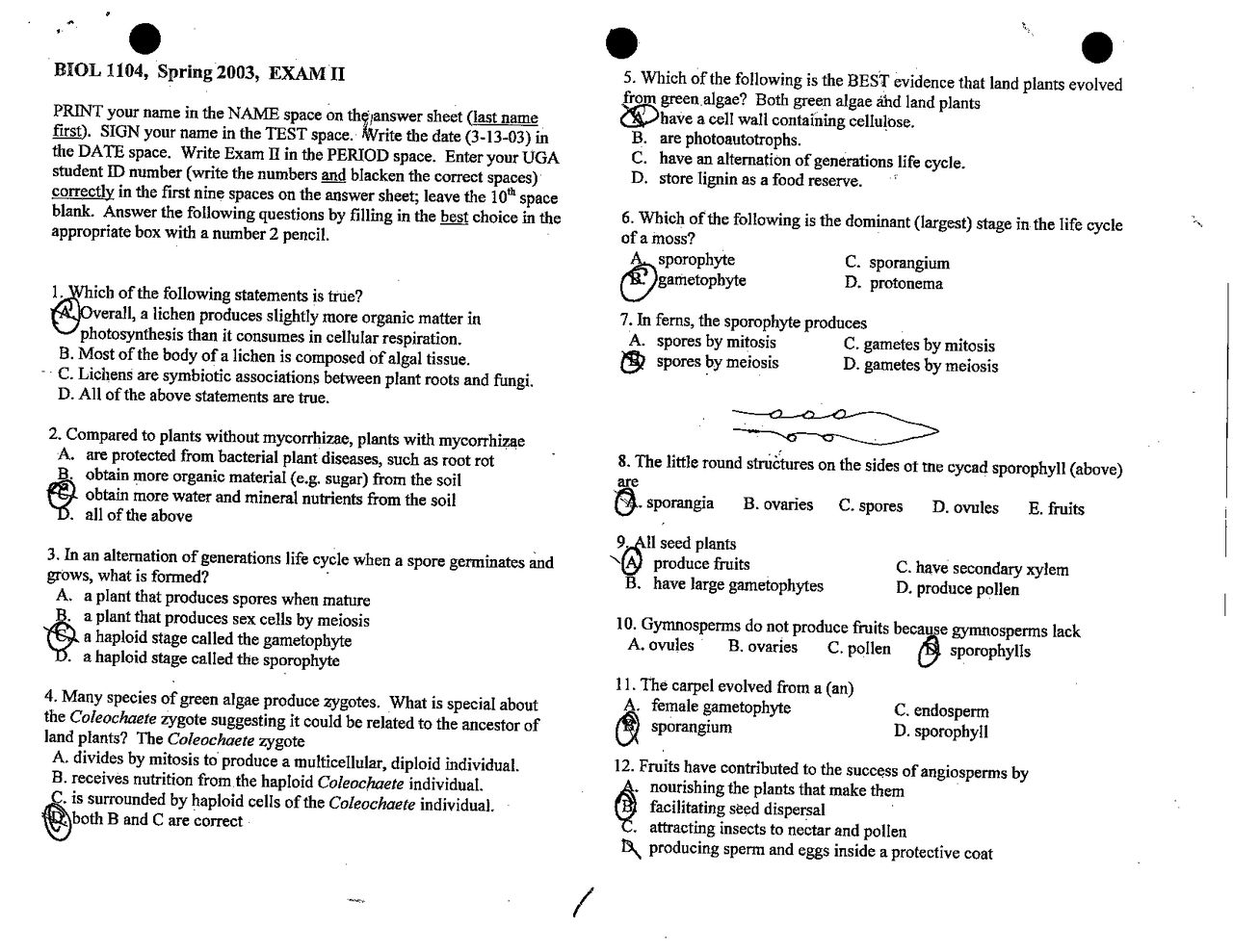 Solution Of Exam 2 Organismal Biology Biol 1104 Docsity