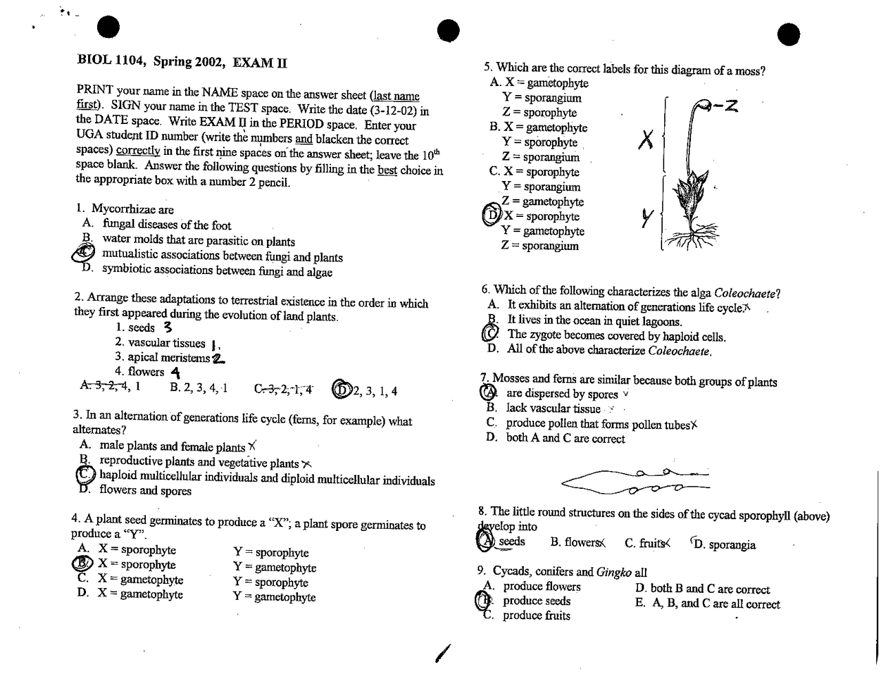 Exam 2 With Answers Organismal Biology Biol 1104 Docsity