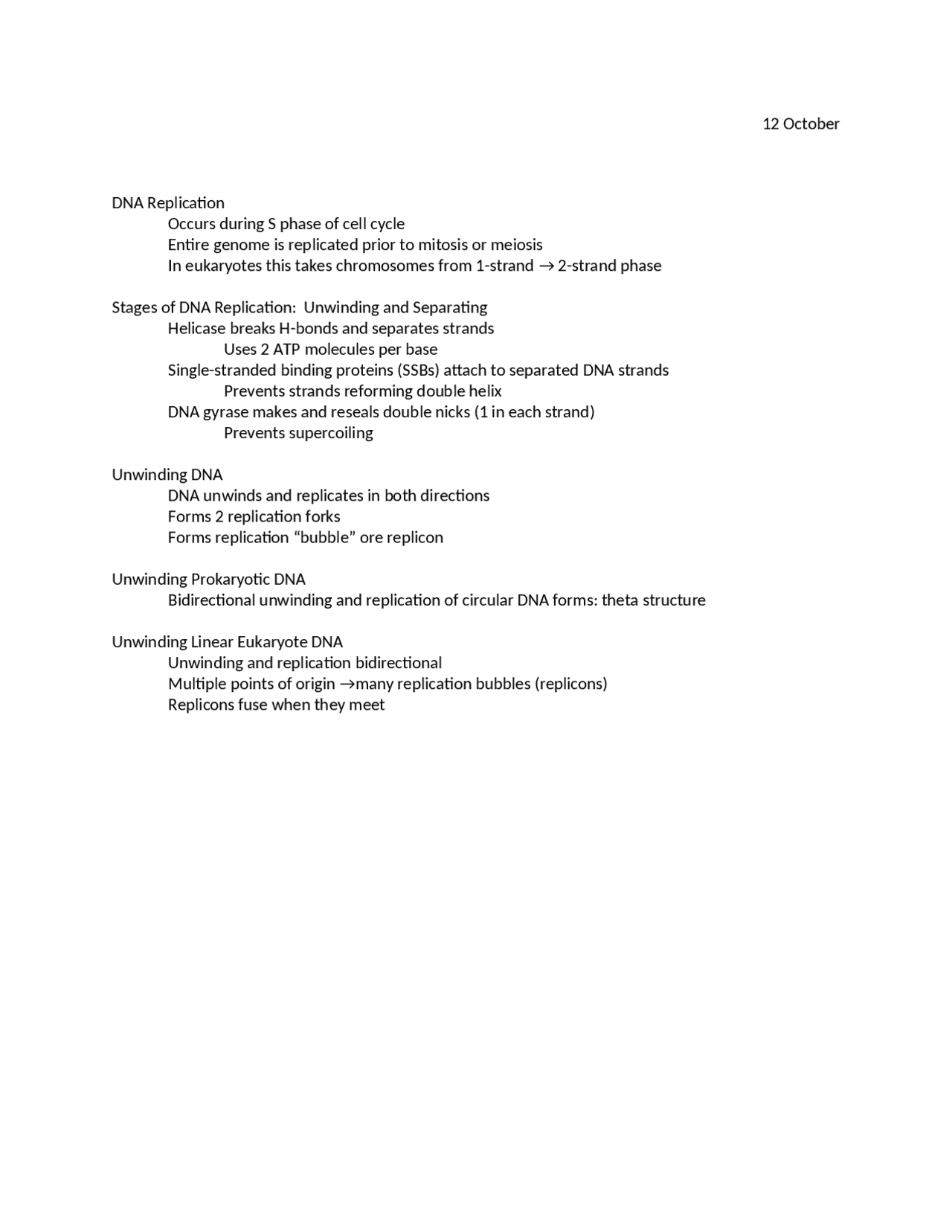 Stages Of The Dna Replication Unwinding And Separating Socr 330
