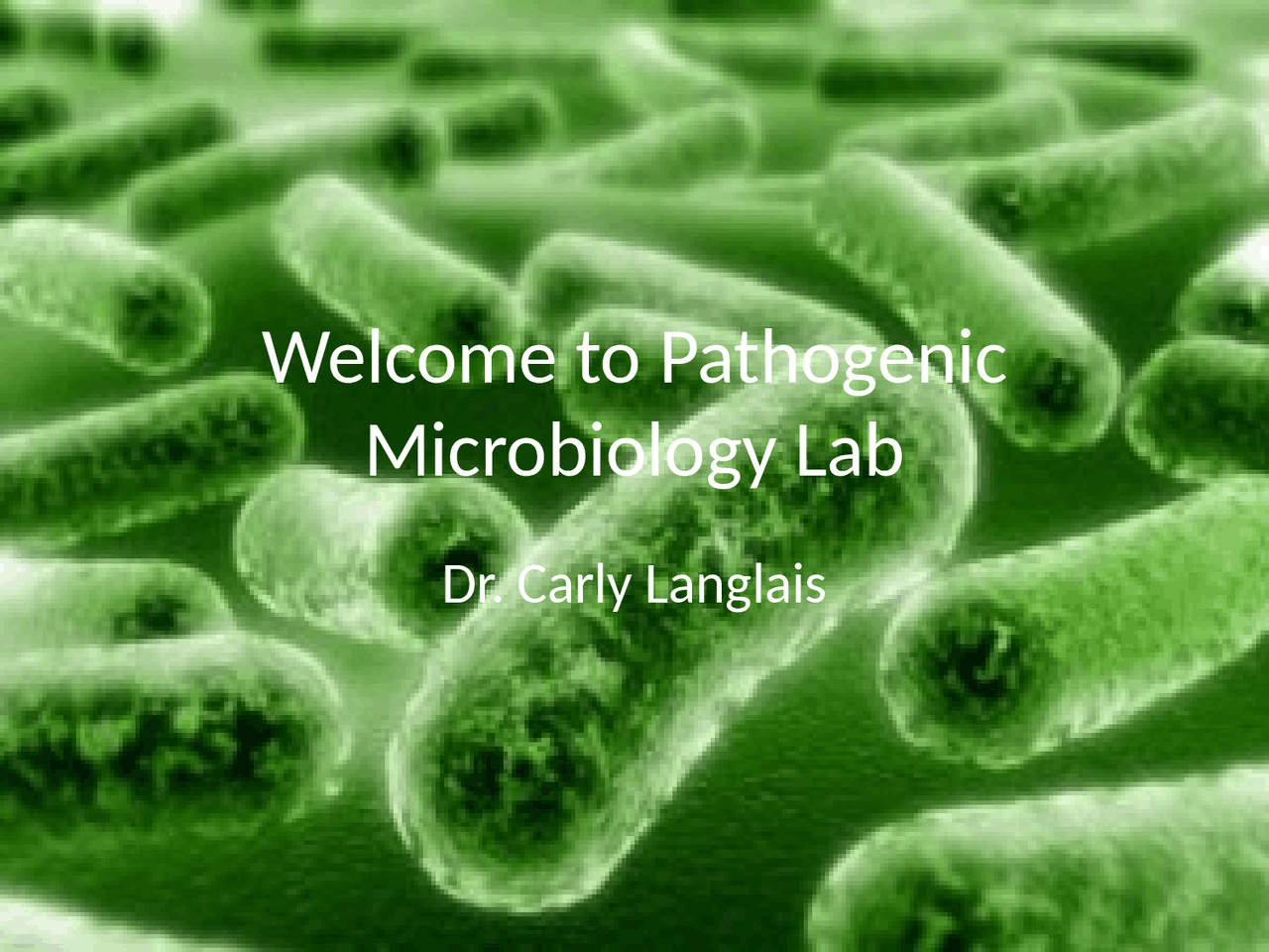 Notes On Biosafety Pathogenic Microbiology Lab Bio 4405 Docsity