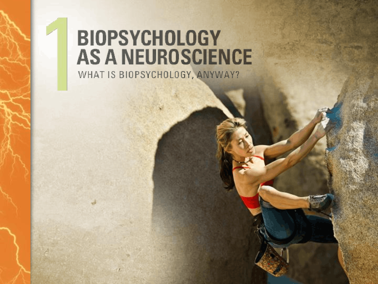 Biological Psychology Lecture Slides 01 Psychology Andrew Weeks Docsity