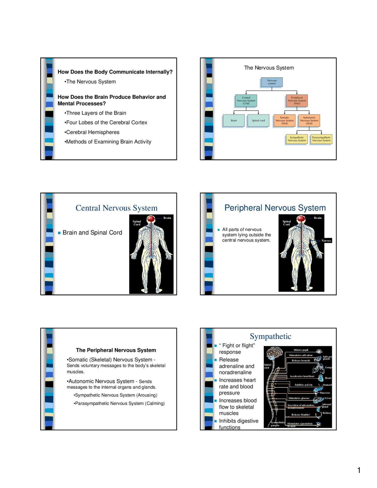 Introduction To Psychology Nervous Lecture Notes Psychology Docsity