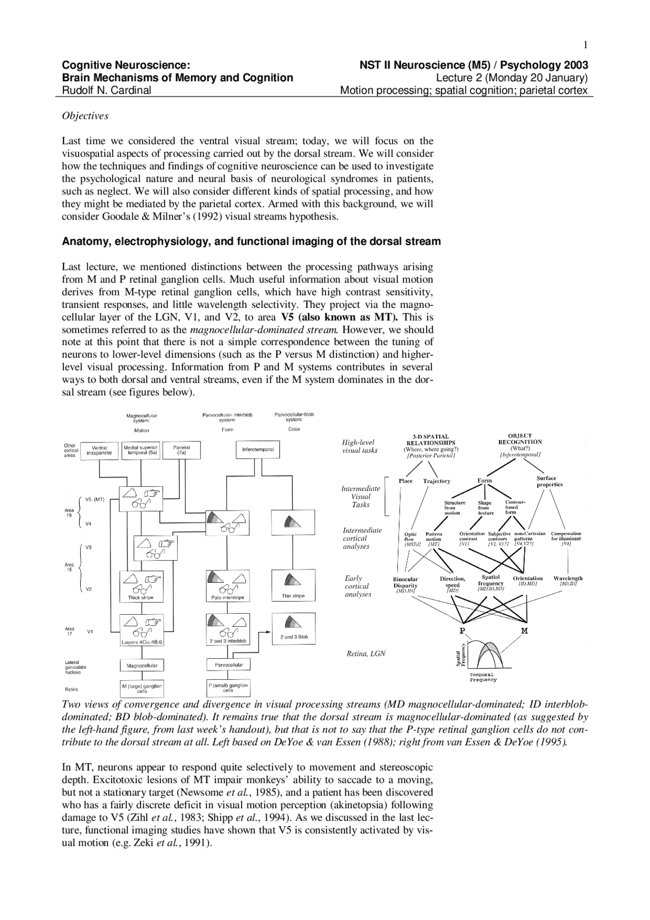 Cognitive Neuroscience 2003 Lecture Handout 02 Psychology Docsity