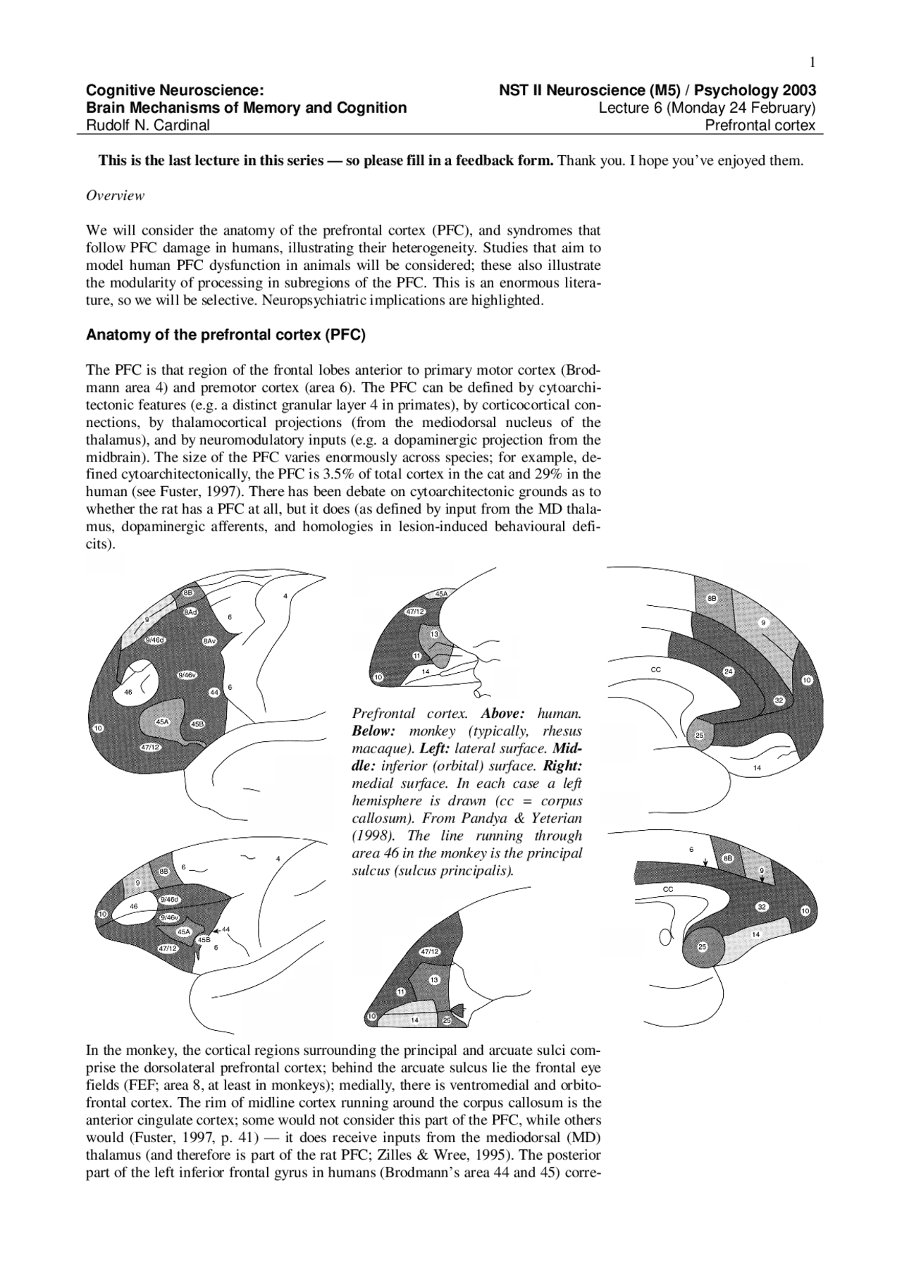 Cognitive Neuroscience 2003 Lecture Handout 06 Psychology Docsity