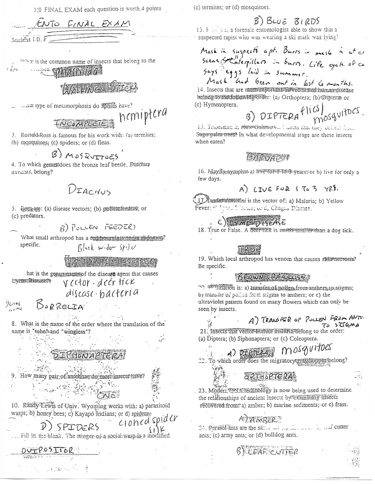 Final Exam Solutions Insects And The Environment Ento 2010 Docsity