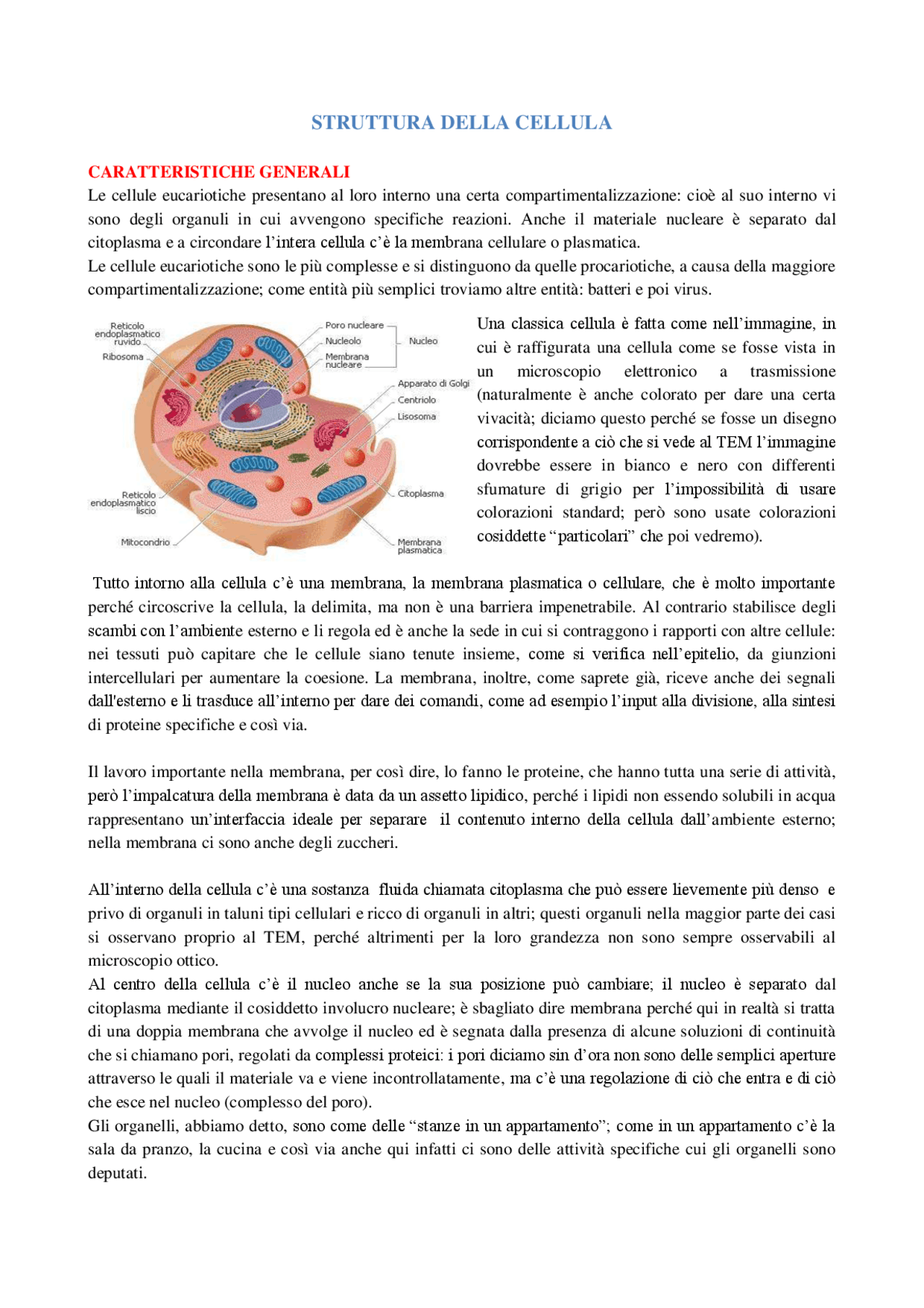 Struttura Della Cellula Docsity