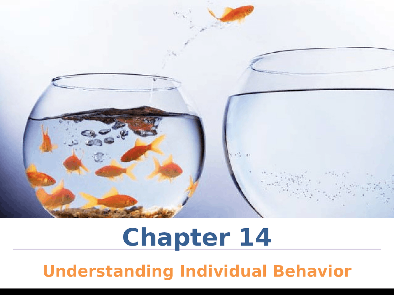 Understanding Individual Behavior Lecture Slides Mgt 3013 Docsity