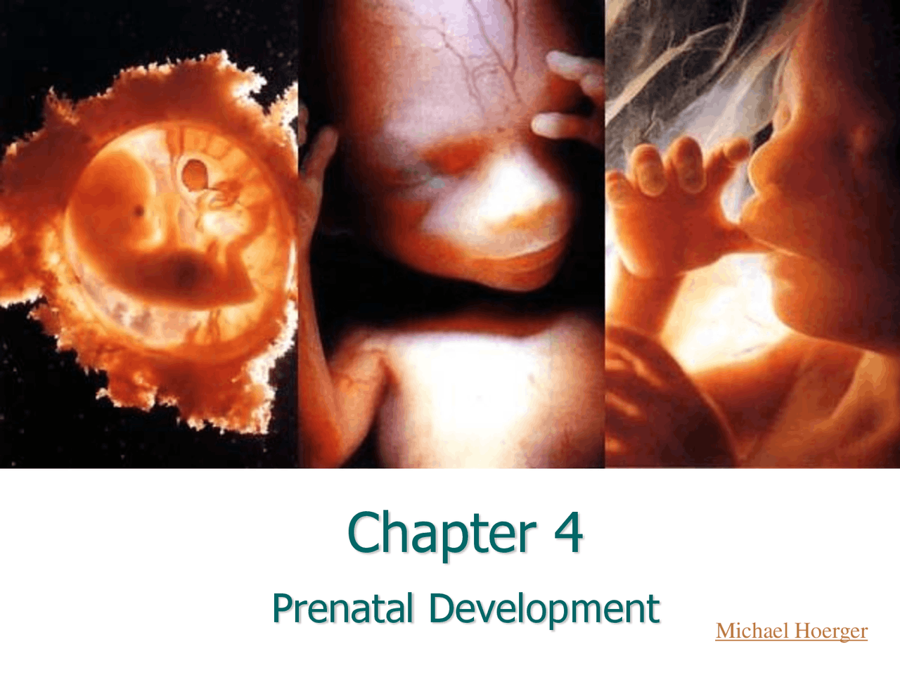 Developmental Psychology Prenatal Development-Lecture Notes 4 ...