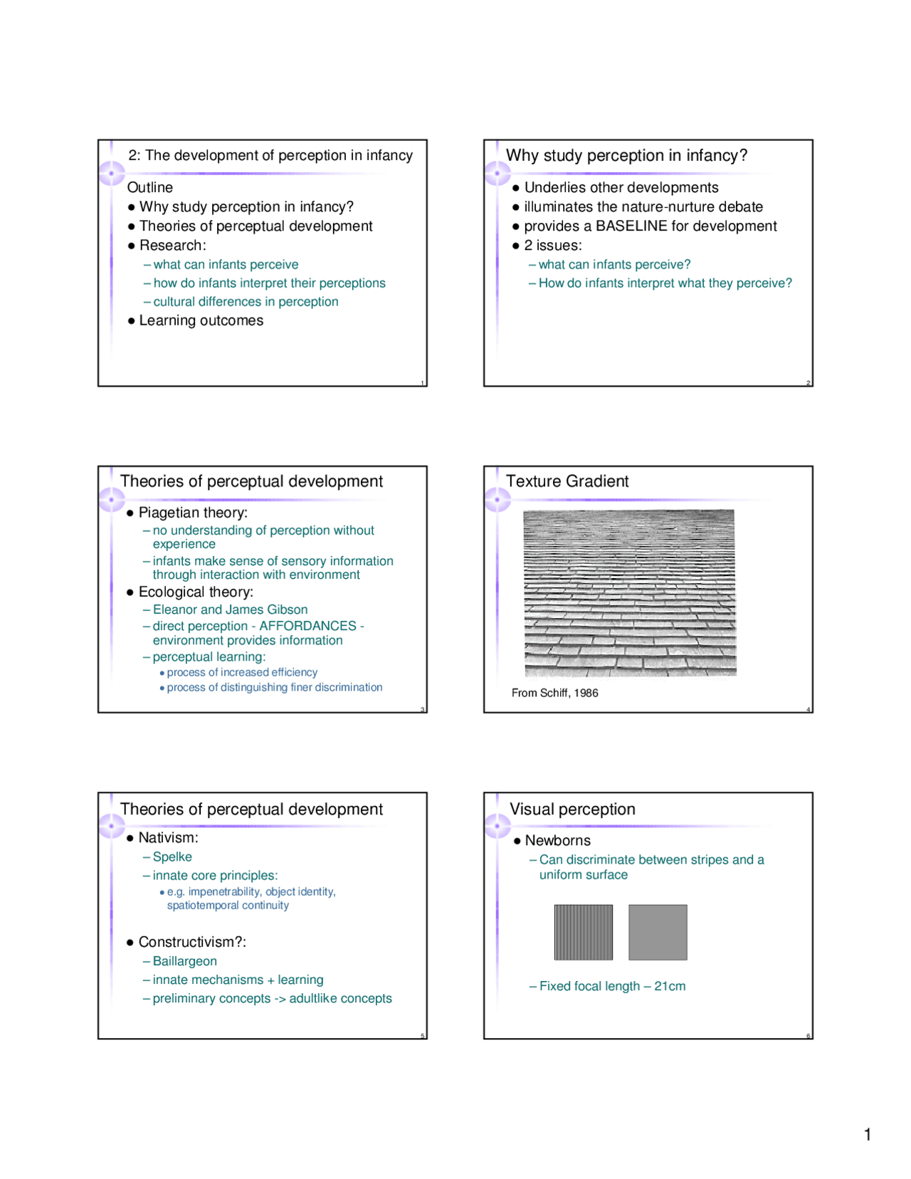 Developmental Cognition Perception Lecture Notes Psychology Docsity