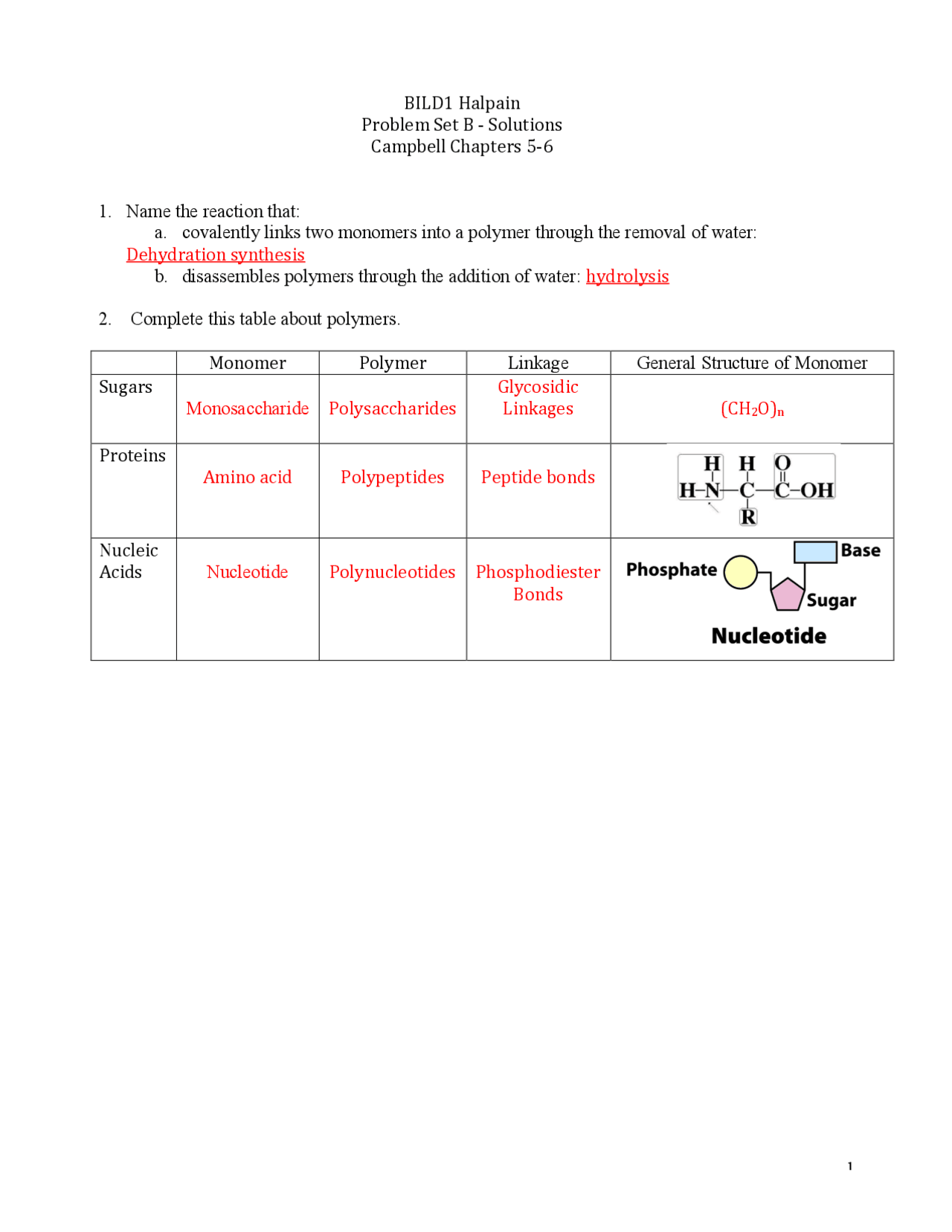 Problem Set B Key For The Cell Bild 1 Docsity