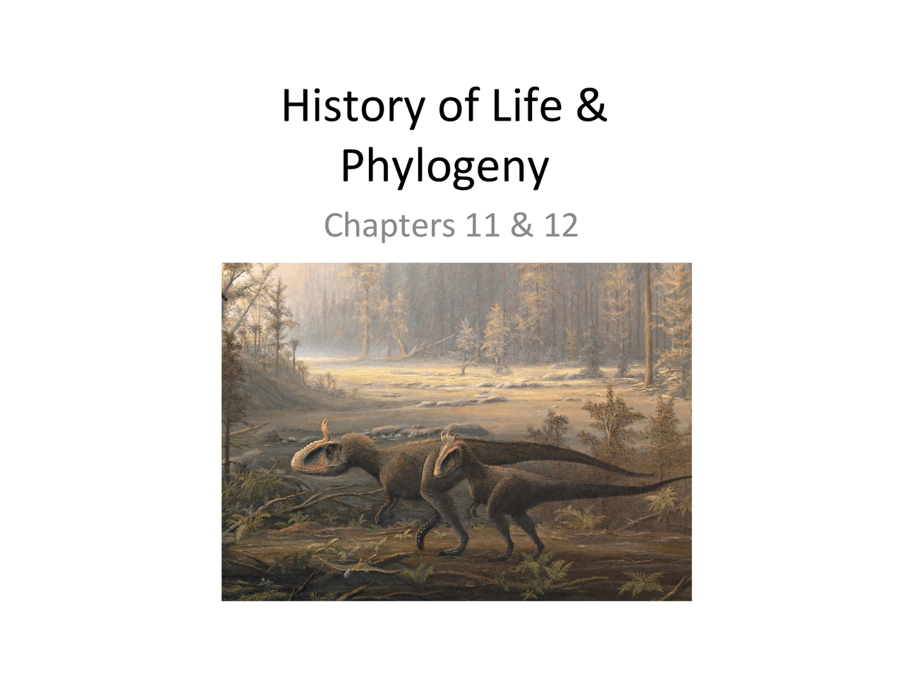 History Of Life And Phylogeny Lecture Slides Biol 128 Docsity
