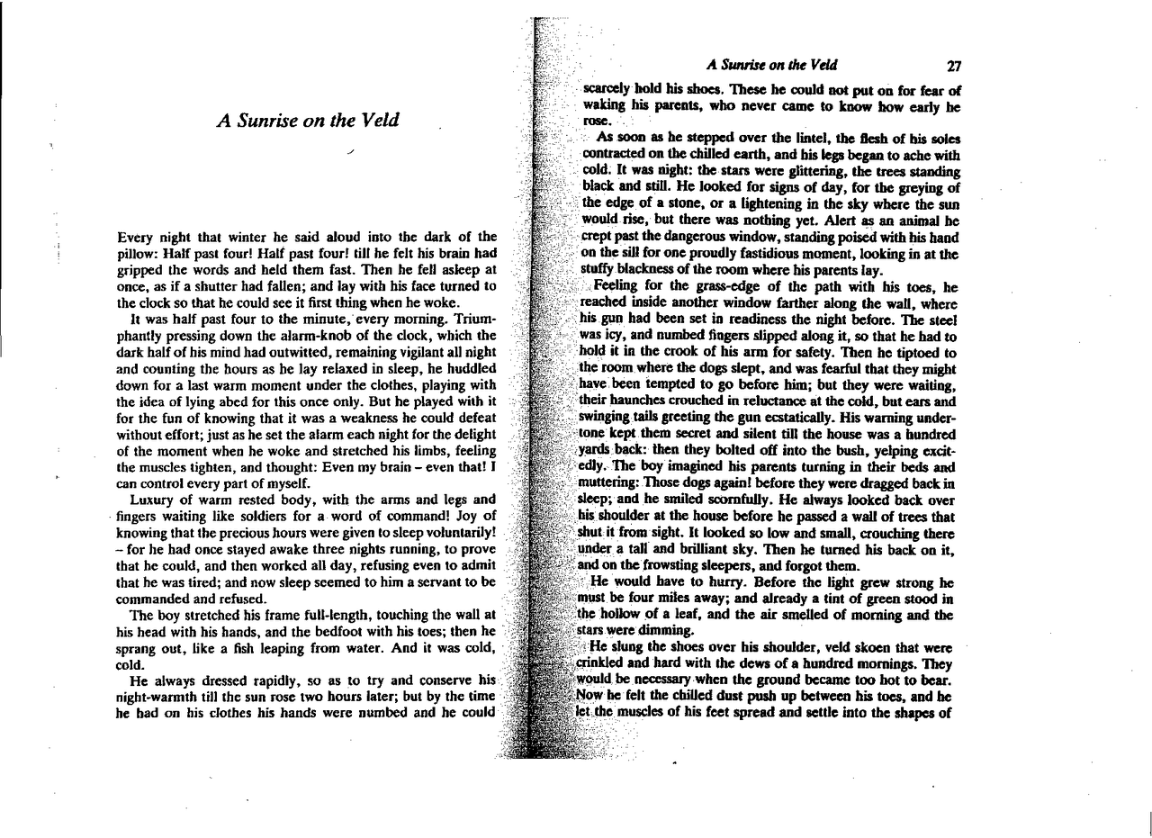 A Sunrise on the Veld by Doris Lessing - Docsity