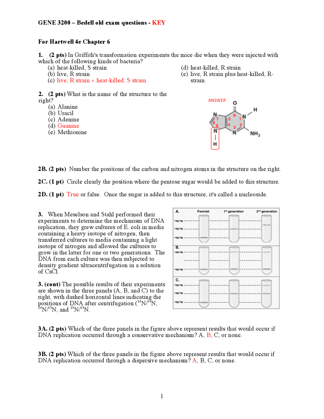 Solved Questions For Genetics Old Exam Ii Gene 3200 Docsity